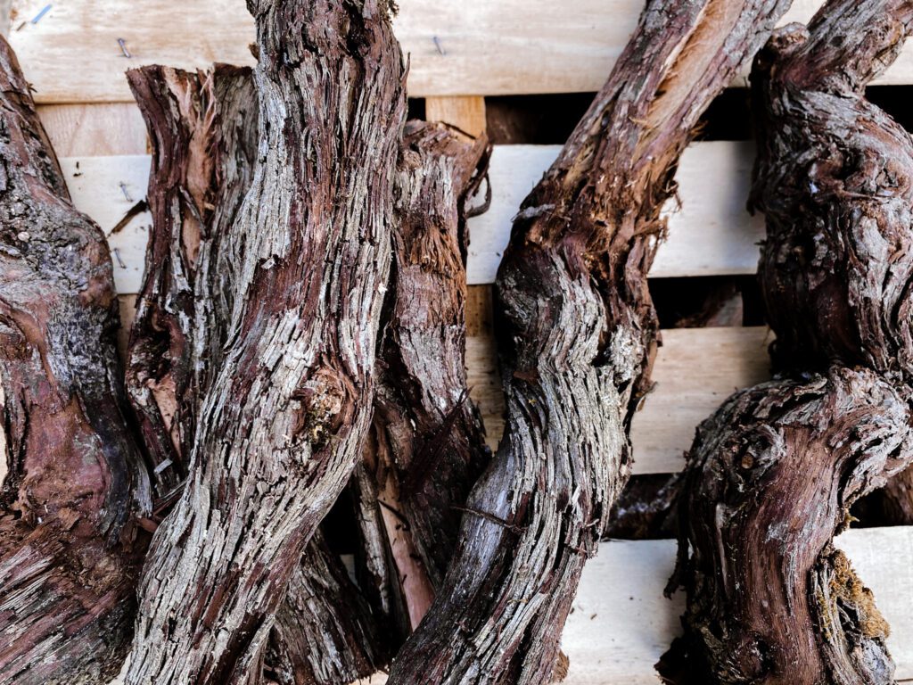 Notre produit - Saveur des Vignes